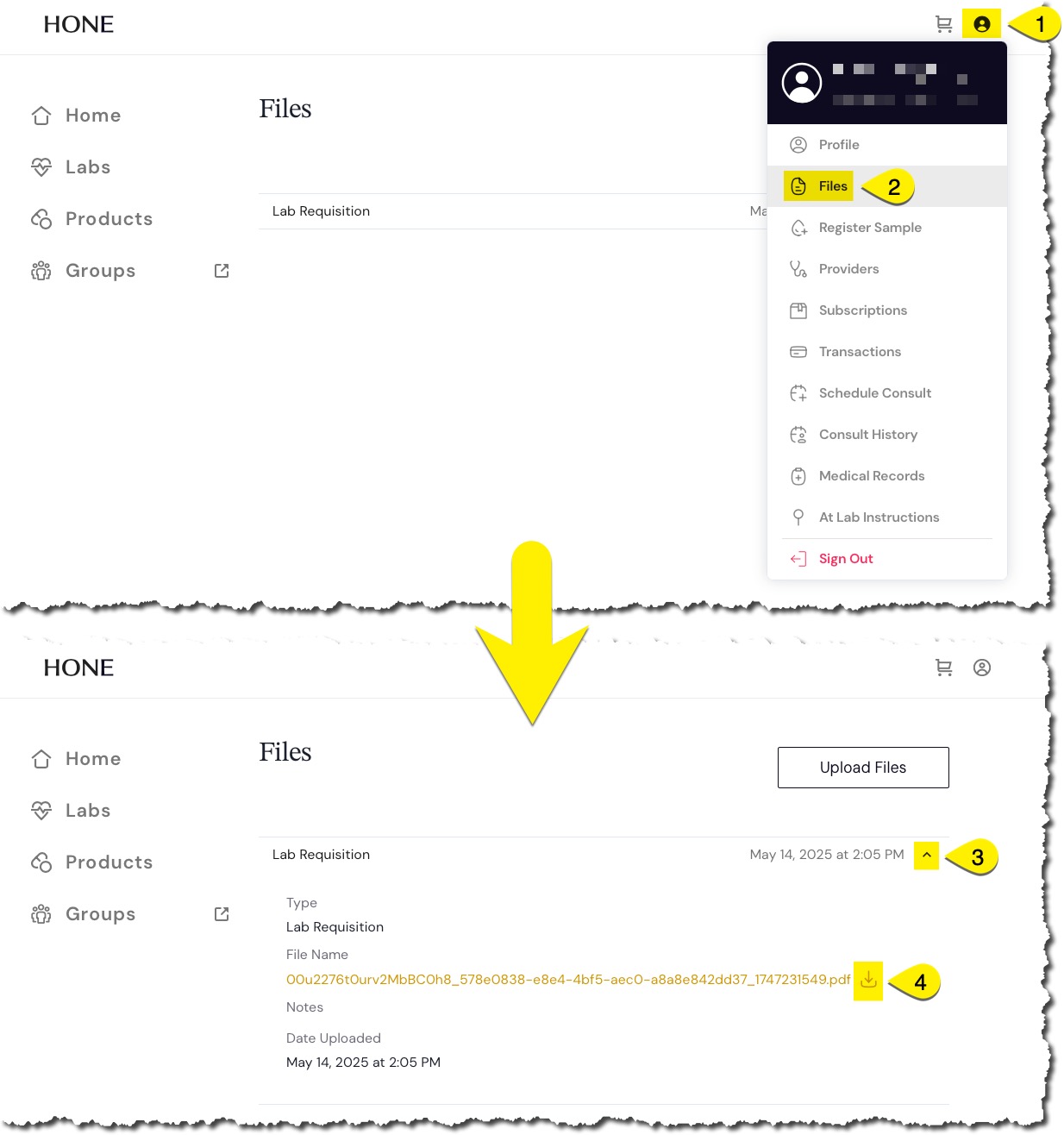 How to Access Your Quest Requisition – Hone Health